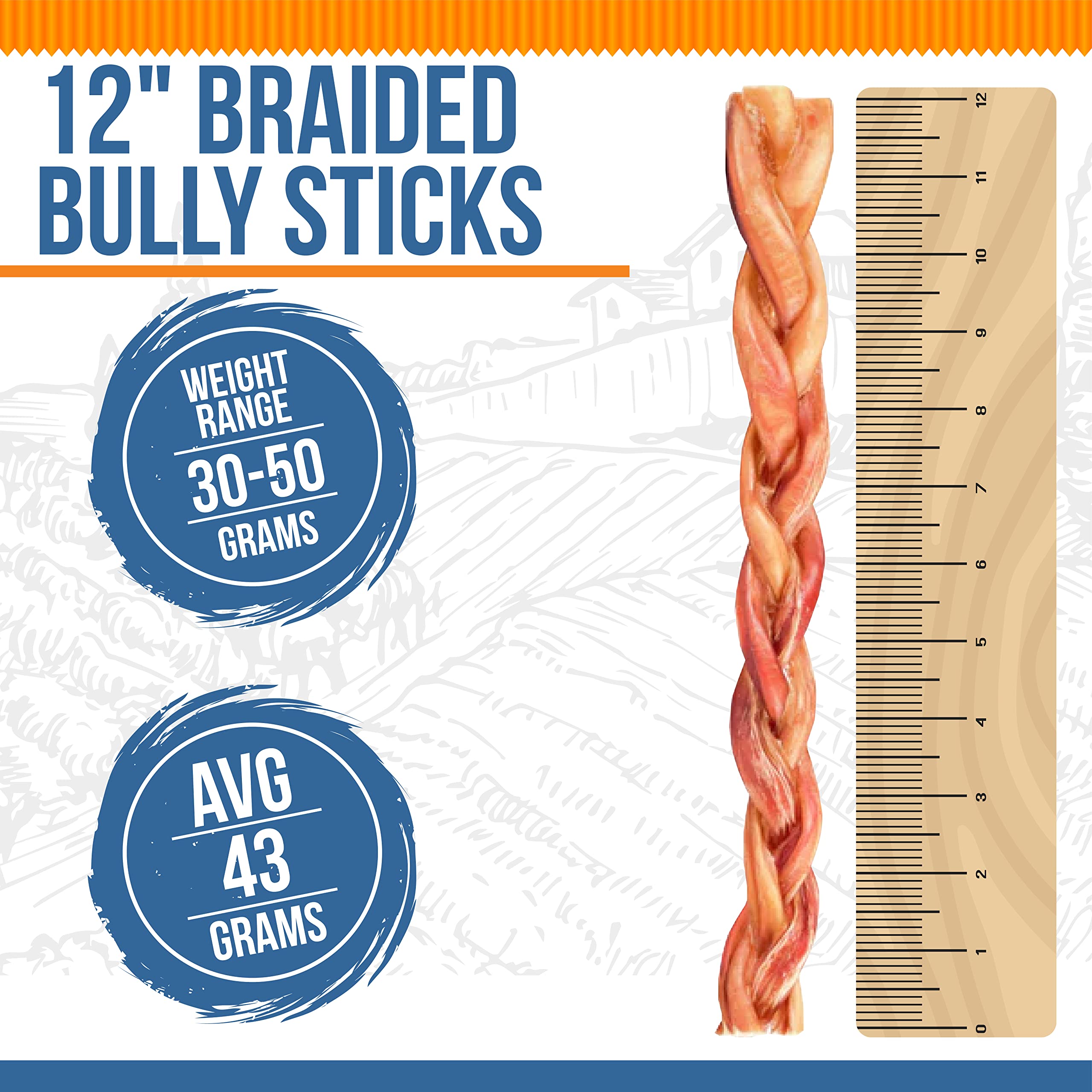 K9warehouse Braided Bully Sticks for Dogs - 12 inch (3 Count)