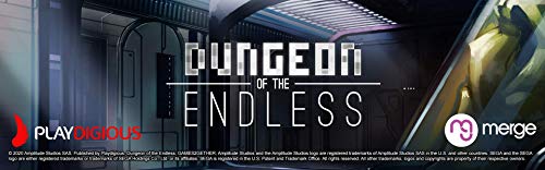 Dungeon of The Endless - PlayStation 4