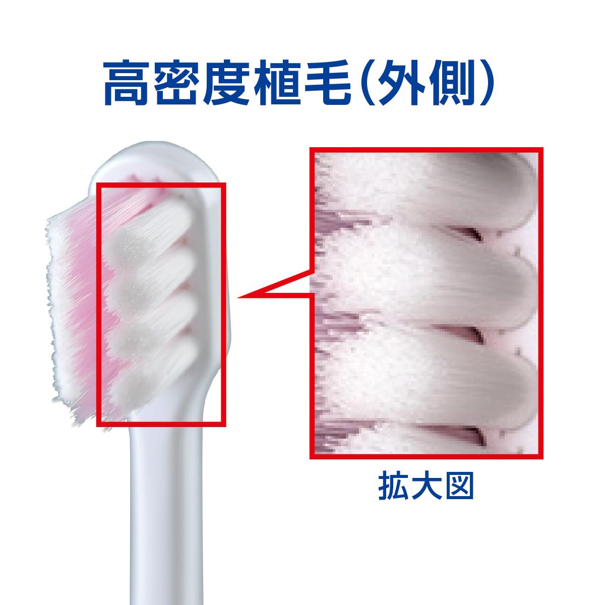 Japan Health and Personal Care - Dent Health Toothbrush Softer one *AF27*