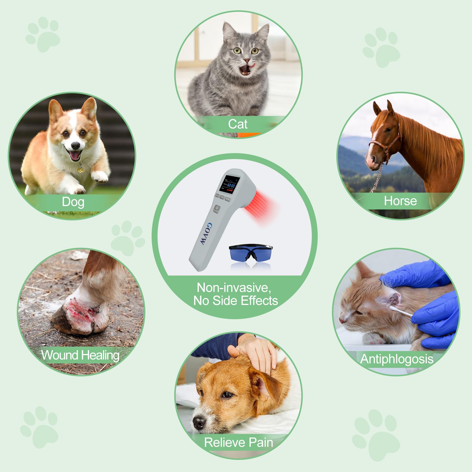 GOVW Laser Therapy for Dogs, 4x808nm+16x650nm, Cold Laser Therapy Device for Dogs Professional, Veterinary Laser Therapy Machine, Cold Laser Therapy Device for Horses, Laser Treatment for Animals