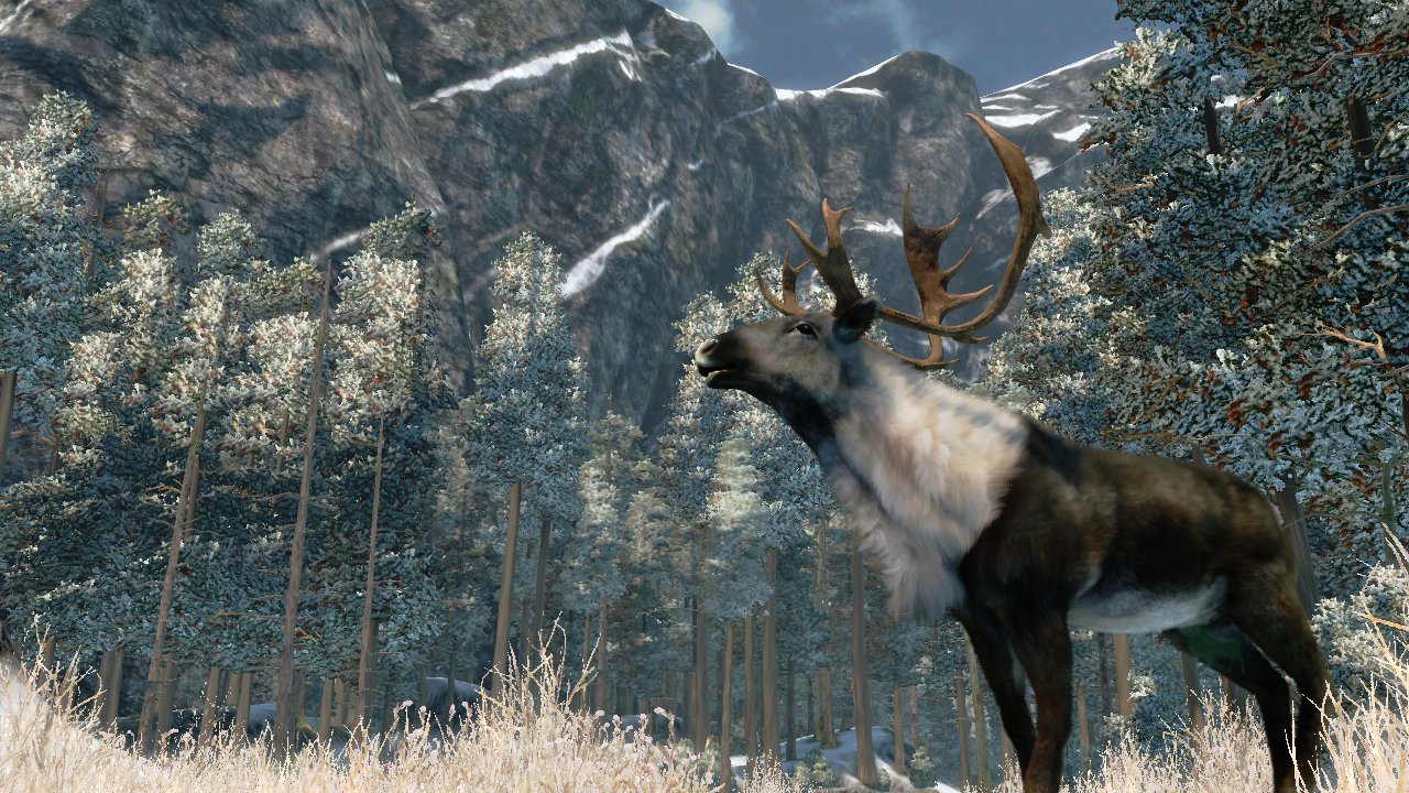 Cabela's Outdoor Adventure '10 - Playstation 3