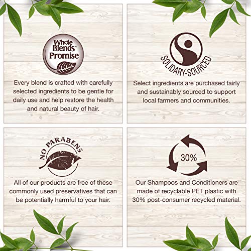 Garnier Whole Blends Nourishing Shampoo with Avocado and Shea Butter Extracts for Dry Hair, 22.0 Fl Oz