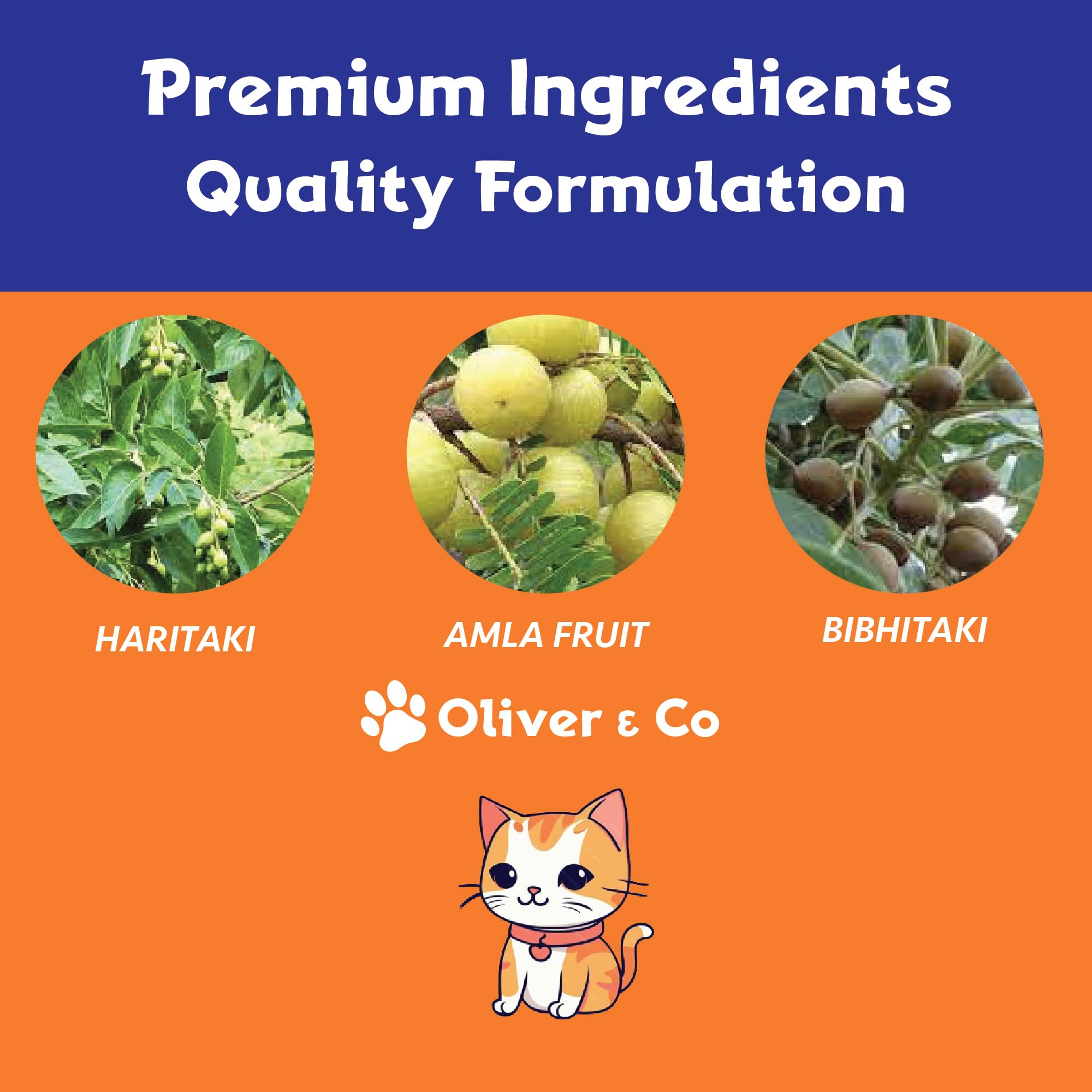 Oliver & Co. Cat Constipation Relief - Cat Laxative - Cat Constipation - Constipation Relief for Cats -Constipation Relief for Cat - Cat Laxative Constipation Relief - 1 fl oz - Roast Chicken Flavor