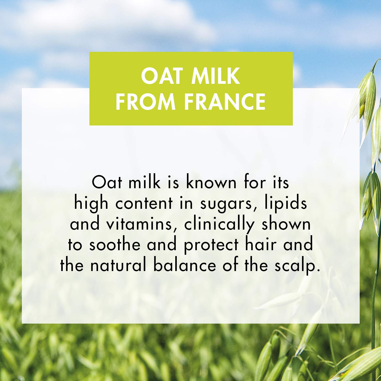 Klorane Ultra-Gentle Shampoo with Oat Milk, Sulfate-Free, Dermatologist and Pediatric Tested, Hypoallergenic, Vegan, Plant-based, Biodegradable