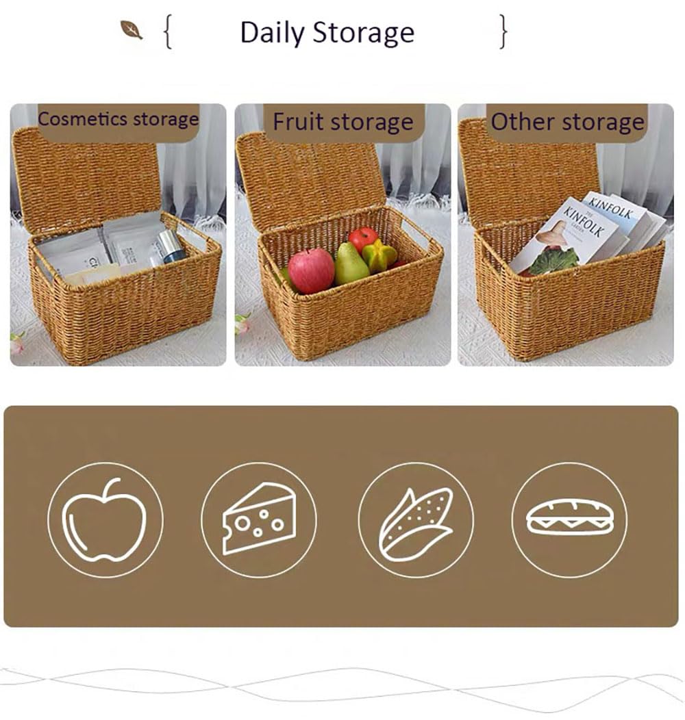 RT&BS Set of 3 Wicker Storage Basket with Lid, Handwoven Storage Basket Box - Organizer for Toys Books Fruits Stationery