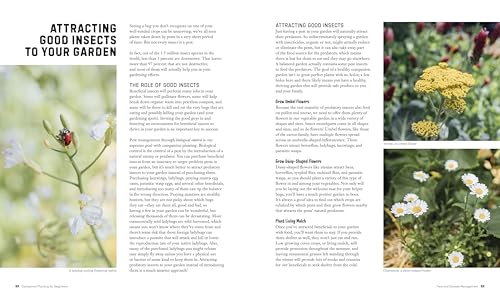 Companion Planting for Beginners: Pair Your Plants for a Bountiful, Chemical-Free Vegetable Garden