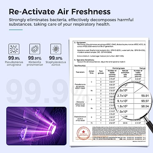 AROEVE Air Purifiers with Two Filter(One Basic Version & One Smoke Version)