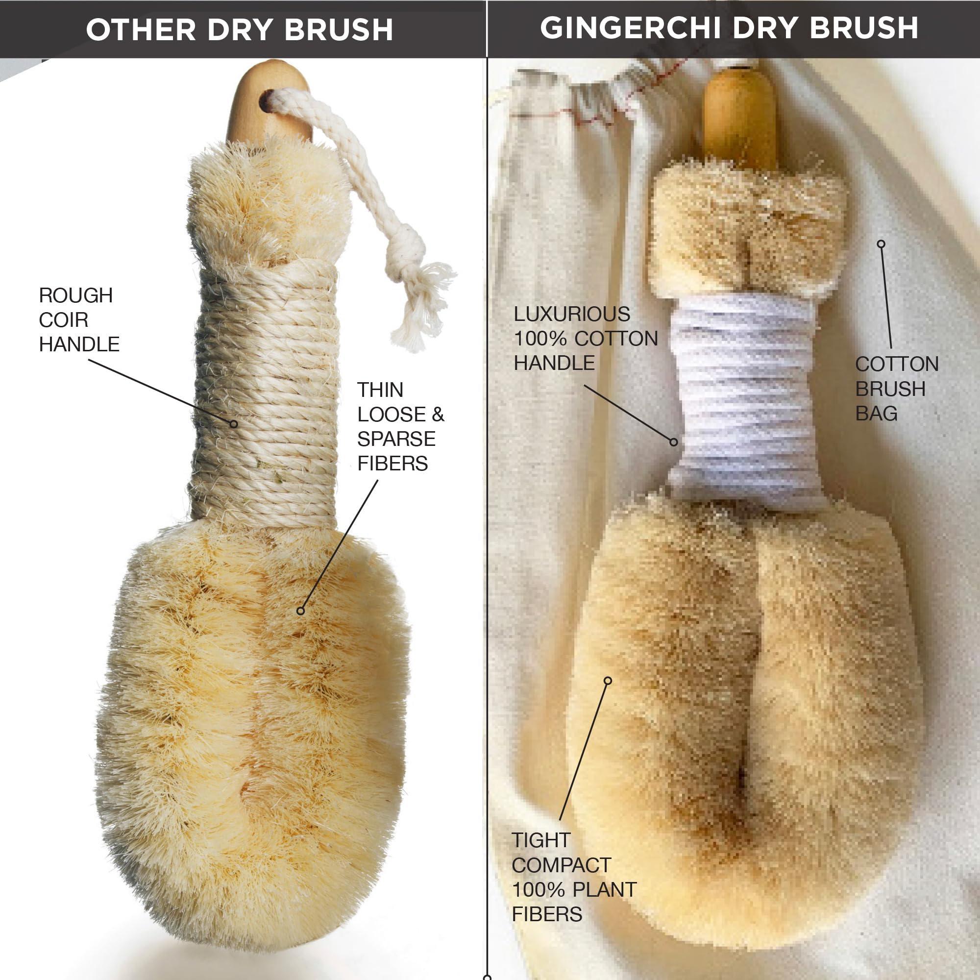 Ginger Chi Dry Brush for Skin, Dry Brushes for Body - Natural Bristle Brush for Dry Brushing Skin (Sisal Dry Brush)