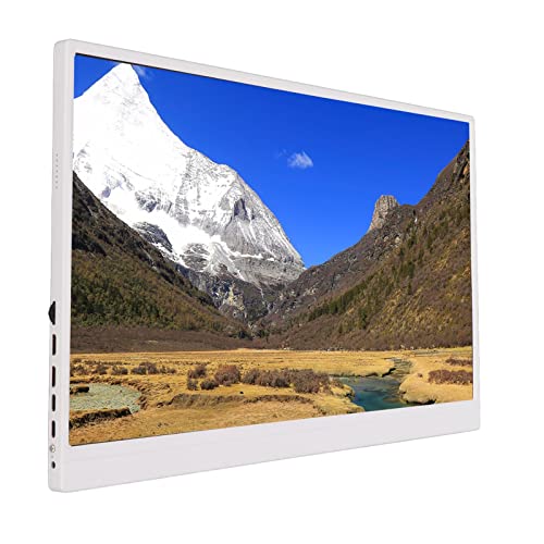 AMONIDA Type C External Display, Rich Details Plug and Play 17.3 Inch Dual Speakers Portable Monitor for PC (White)