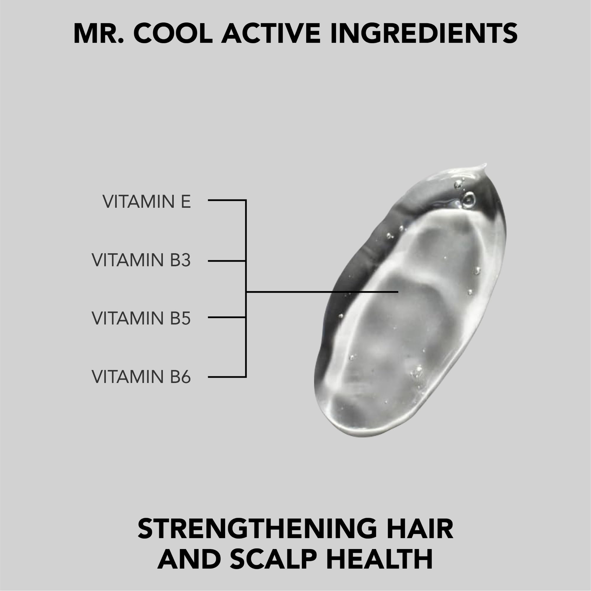 Hair Situation Mr. Cool Wet Look Hair Gel - Strong Hold, High Shine, Alcohol-Free, Clear Styling Formula, Anti-Humidity Frizz Control, Non-Flaking, Non-Greasy, Long-Lasting for All Hair Types 8 Fl Oz