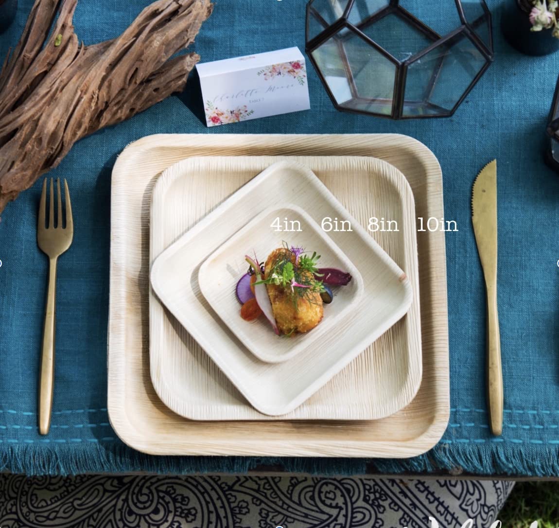 Disposable Palm Leaf Plates 6 Inch / 25 Pack. All Natural Compostable, Biodegradable and Eco Friendly Dessert Party Plates - Comparable to Bamboo or Wood - Great for Outdoor Parties, Weddings and BBQs