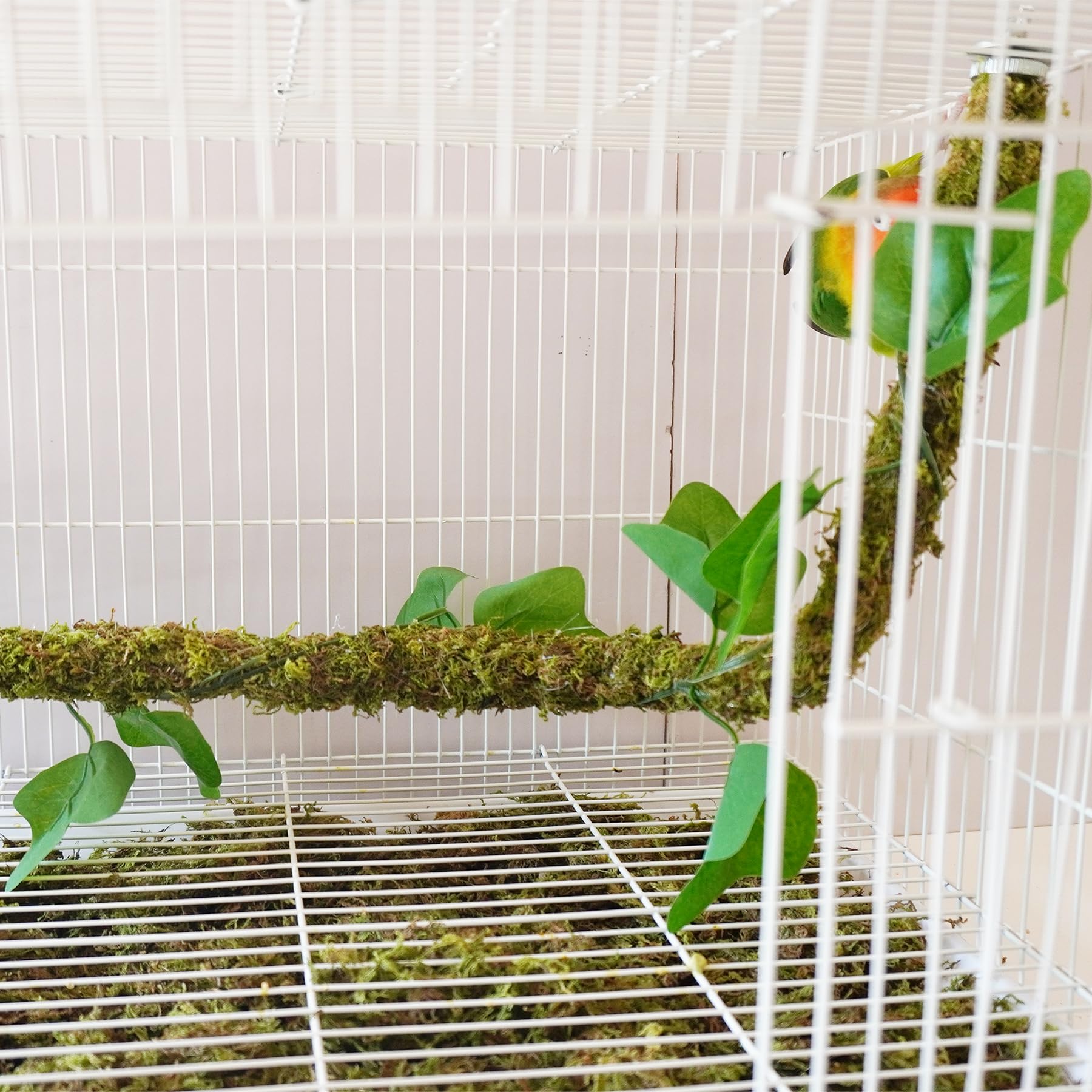 Begeterday 25 Inch Bendable Bird Perches, Bird Toys, Ideal Bird Cage Accessories