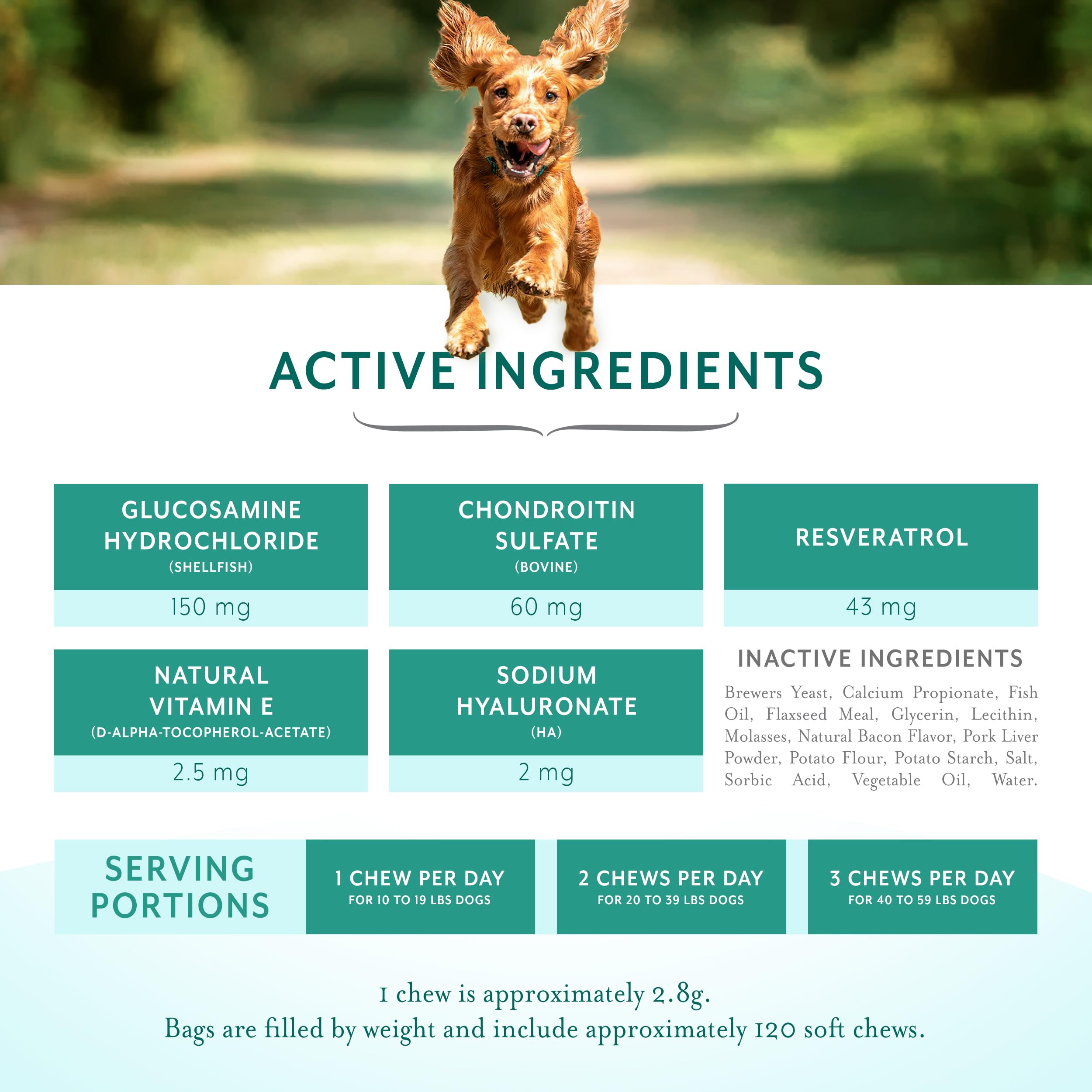 PetThrive Dog Hip and Joint Support Supplement Soft Chews with Resveratrol, Glucosamine, Chondroitin, Hyaluronic Acid, Bacon Flavor, Small Breed