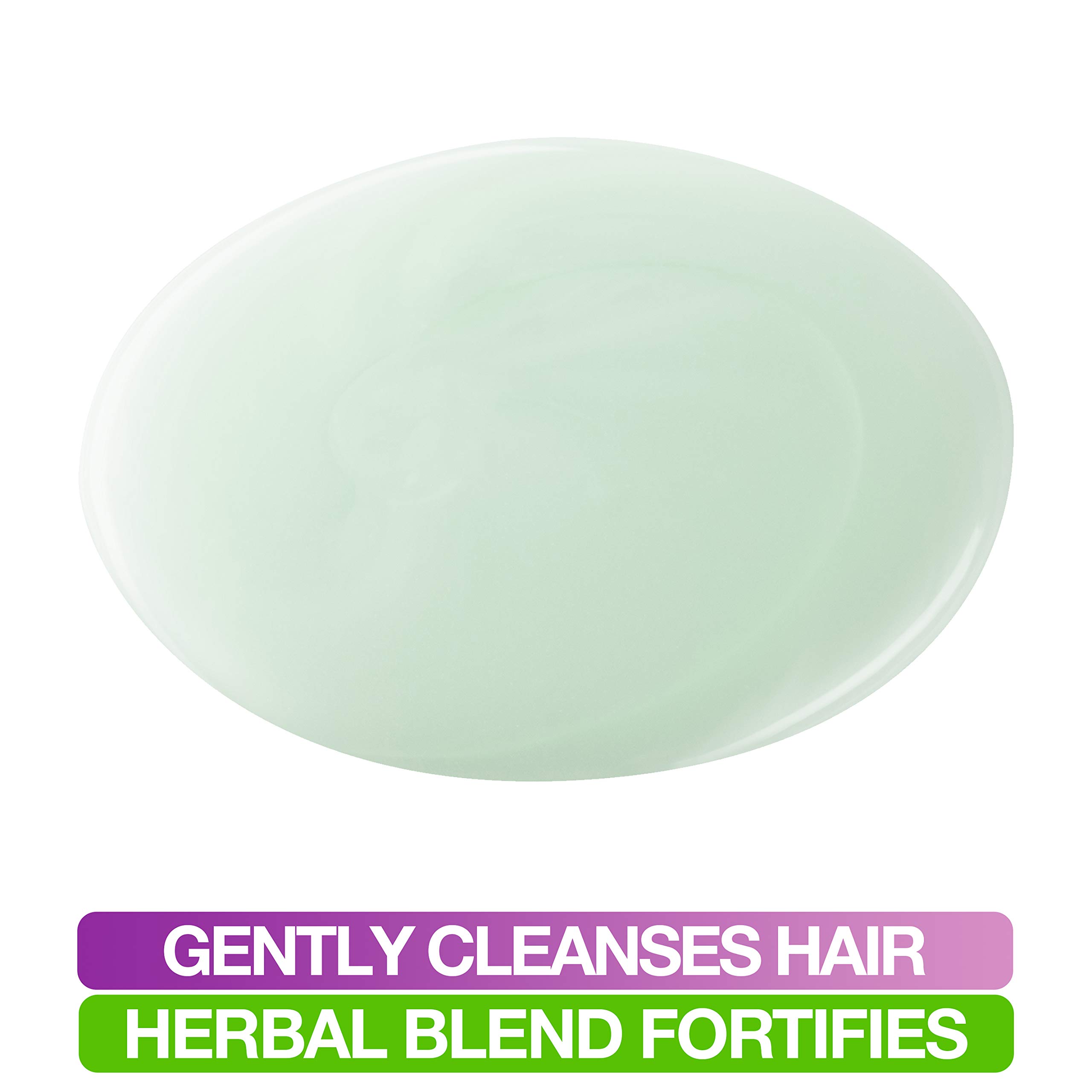 Mane 'n Tail: Herbal Gro Shampoo + Conditioner (12 oz Each), Olive Oil Complex That Helps Strengthens & Nourishes Hair
