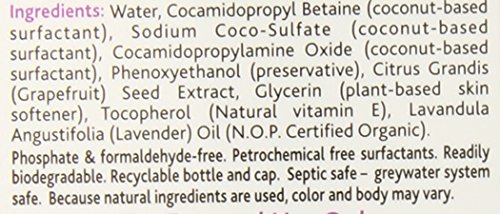 ECOS Hypoallergenic Hand Soap - All Natural pH-Balanced Handwash Soap with Vitamin E - Safe for Sensitive Skin - Lavender - 17 Oz Bottle (6 pack)