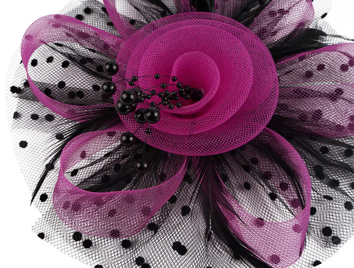 Fascinators for Women Tea Party Headband Kentucky Derby Wedding Cocktail Flower Mesh Feathers Hair Clip (Rose &Black)