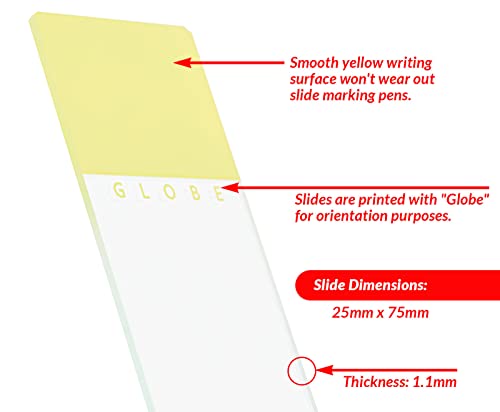 Globe Scientific 1324Y Glass Microscope Slide, 25 x 75mm Size, Ground Edges with Safety Corners, Yellow Frosted (1,440 slides)