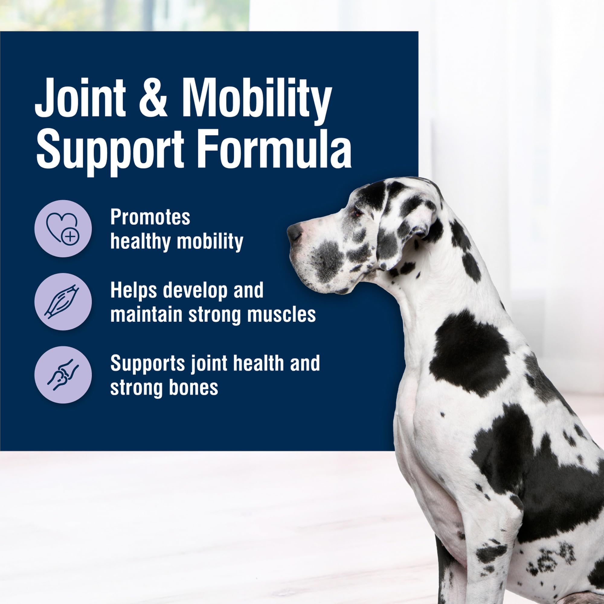 Blue Buffalo True Solutions Jolly Joints Mobility Care Natural Dry Food for Adult Dogs, Chicken, 11-lb. Bag