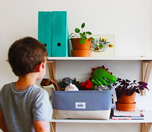 DAE Living Fabric Storage Bins (Set of 2) | Extra Stiff Canvas Fabric | Wire Framed | Fully Lined Interior | Perfect for Clothes, Toys, Shoes, Pet Supplies, Nurseries, Closet and Shelf Storage