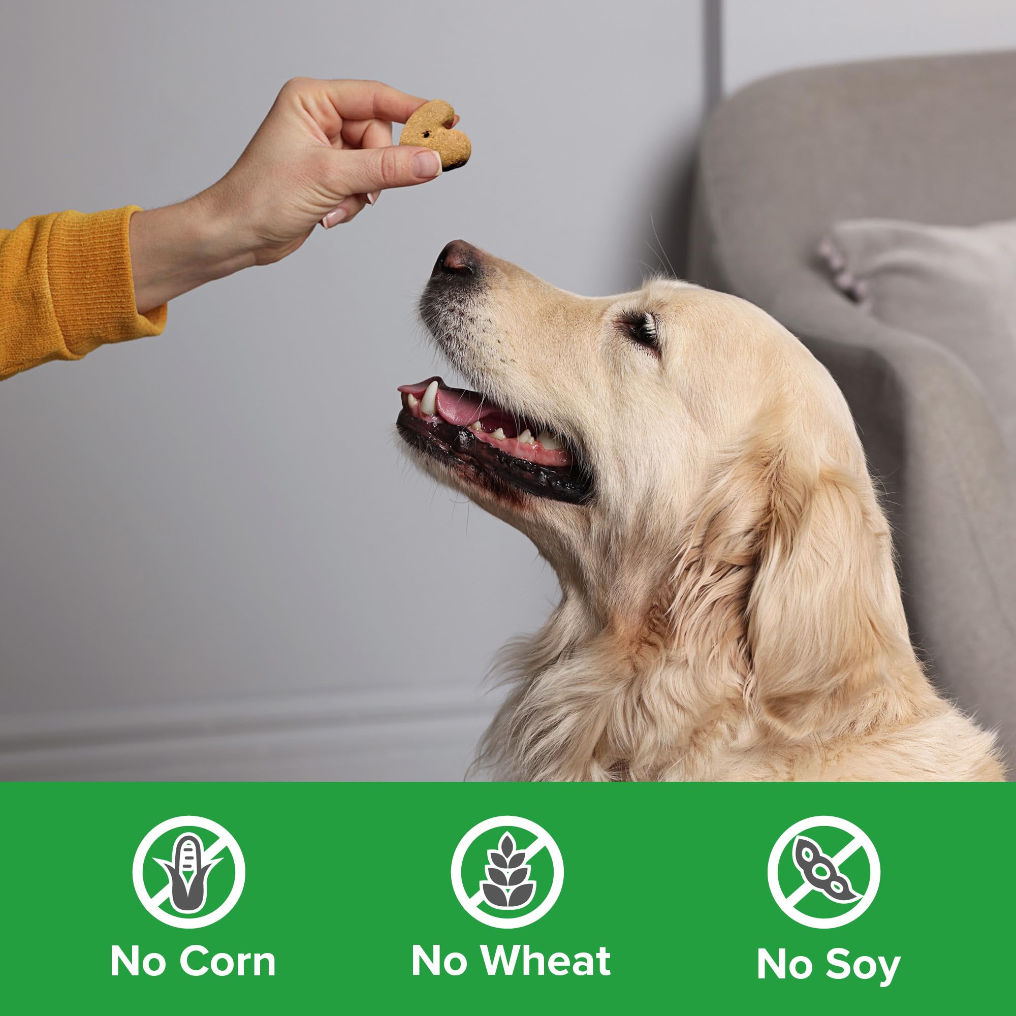 Blue Seal Kent Entrust Crunchers - Small Dog Treats, Happy Health Recipe - Crunchy Oven Baked Biscuits with Premium Ingredients, Nutritious Snack, Ideal for Training - Made in USA, 2-Pound Bag