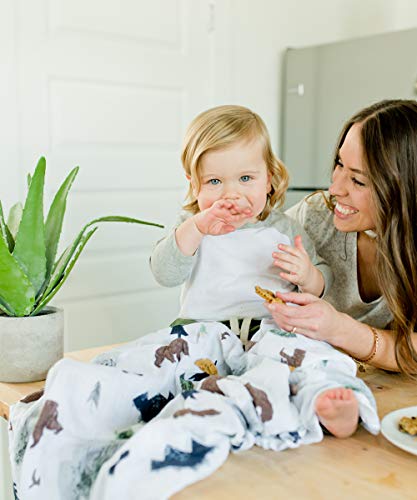 SARANONI Swaddle Blanket Luxury Decorative Baby Muslin Swaddle (Yosemite, 47" x 47")