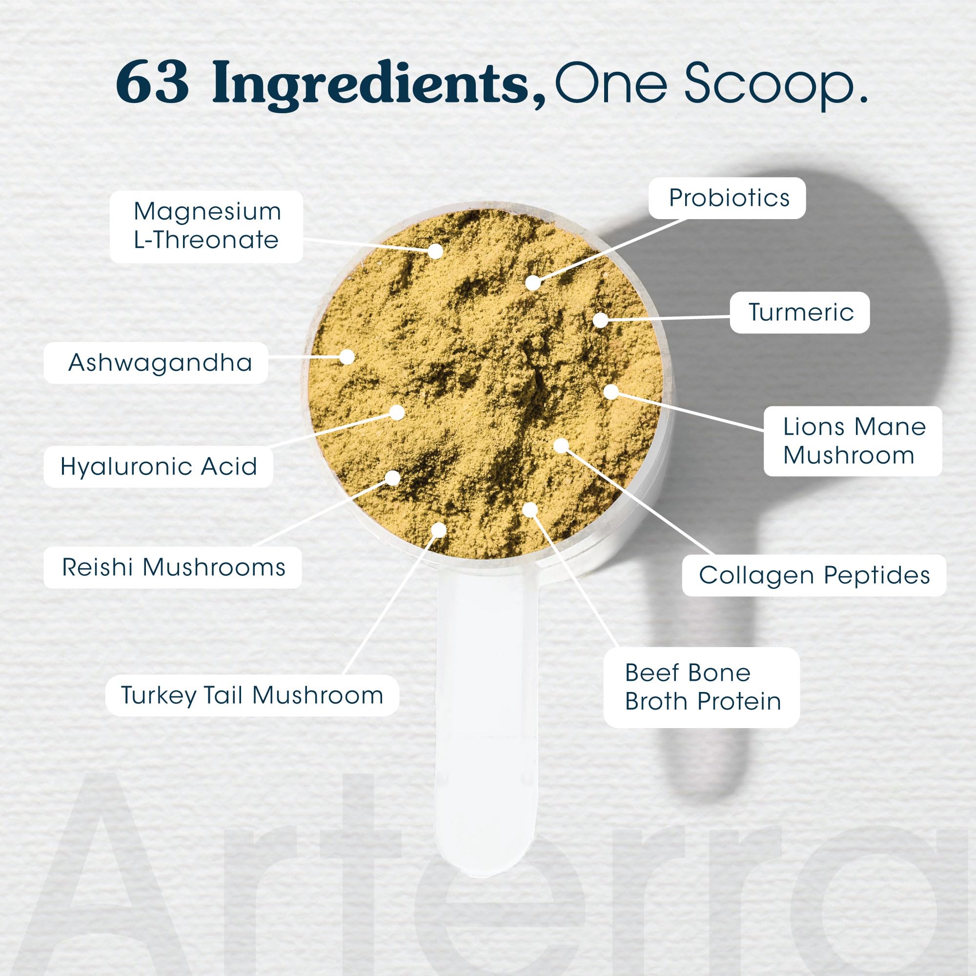 All-in-One Dog Supplement for Advanced Wellness & Longevity, 63 Premium Ingredients for Aging Support, Hip & Joint, Cognition & Mood, Gut and Organs, Vet-Formulated, Senior Formula 8+ Yrs, 38.3 oz