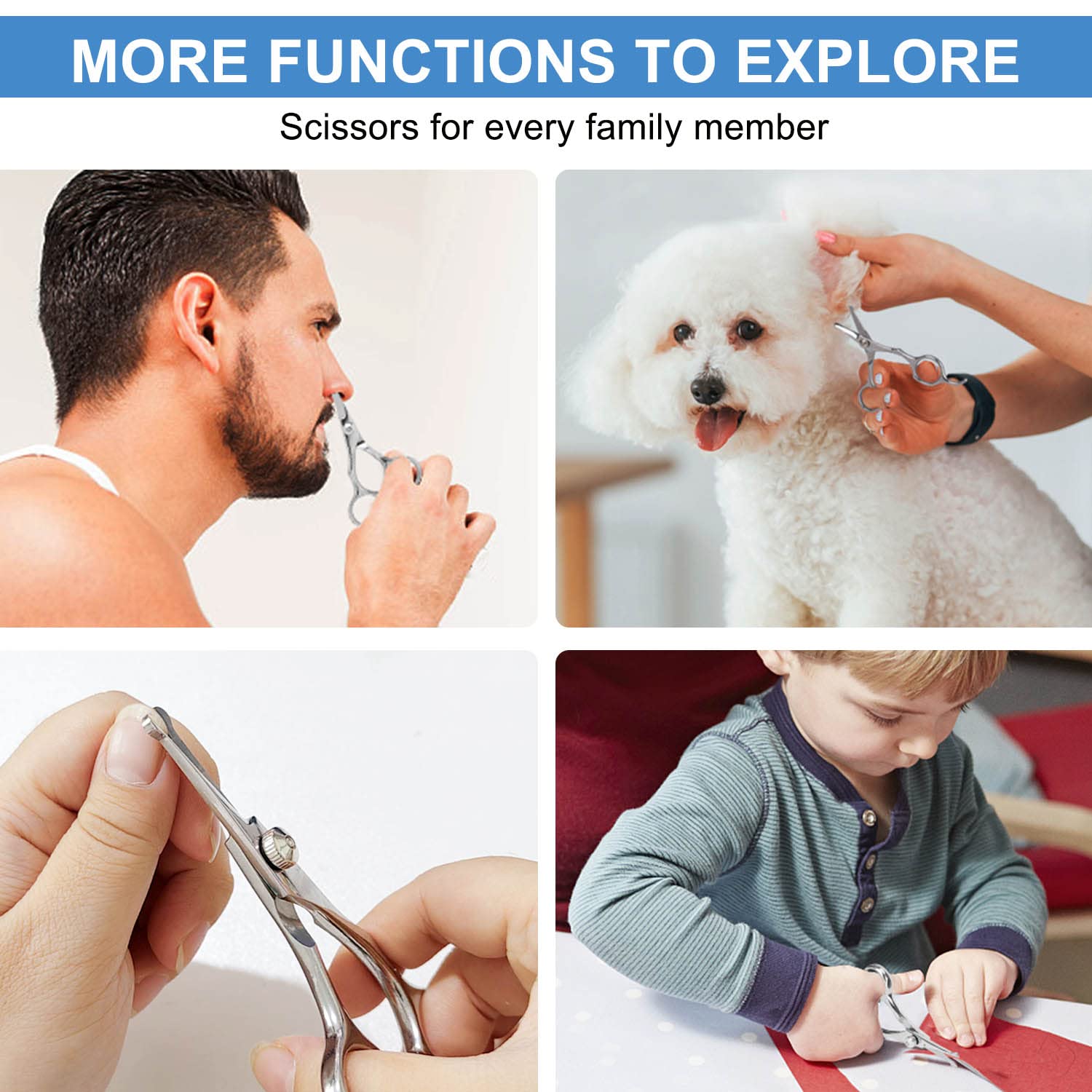 Avenoir Facial Hair Scissors for Men, Professional Mustache & Beard Scissors, Nose Ear Eyebrow Pet Trimming Stainless Steel Scissors(Safety Round Tip Design), Silver, 5.3inx2.16inx0.7in