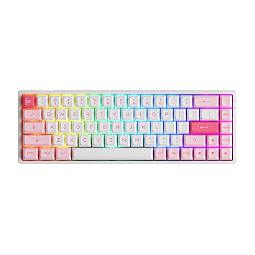 Akko 3068B Plus Prunus Lannesiana 65% Percent Hot Swappable Pink Mechanical Keyboard Wireless with Extra 90pcs Jelly Black Linear Switches, Wired/Bluetooth RGB Gaming Keyboard with PBT Keycaps