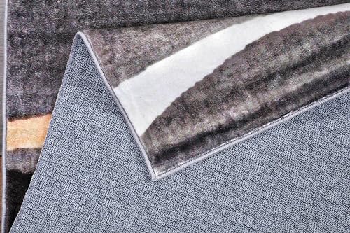 Flame Retardant Fireplace Rugs for Living Room Rugs Machine Washable 4x6 Gray Modern Fluffy Rubber Bedroom Dining Heat Resistant Area Rugs Decor