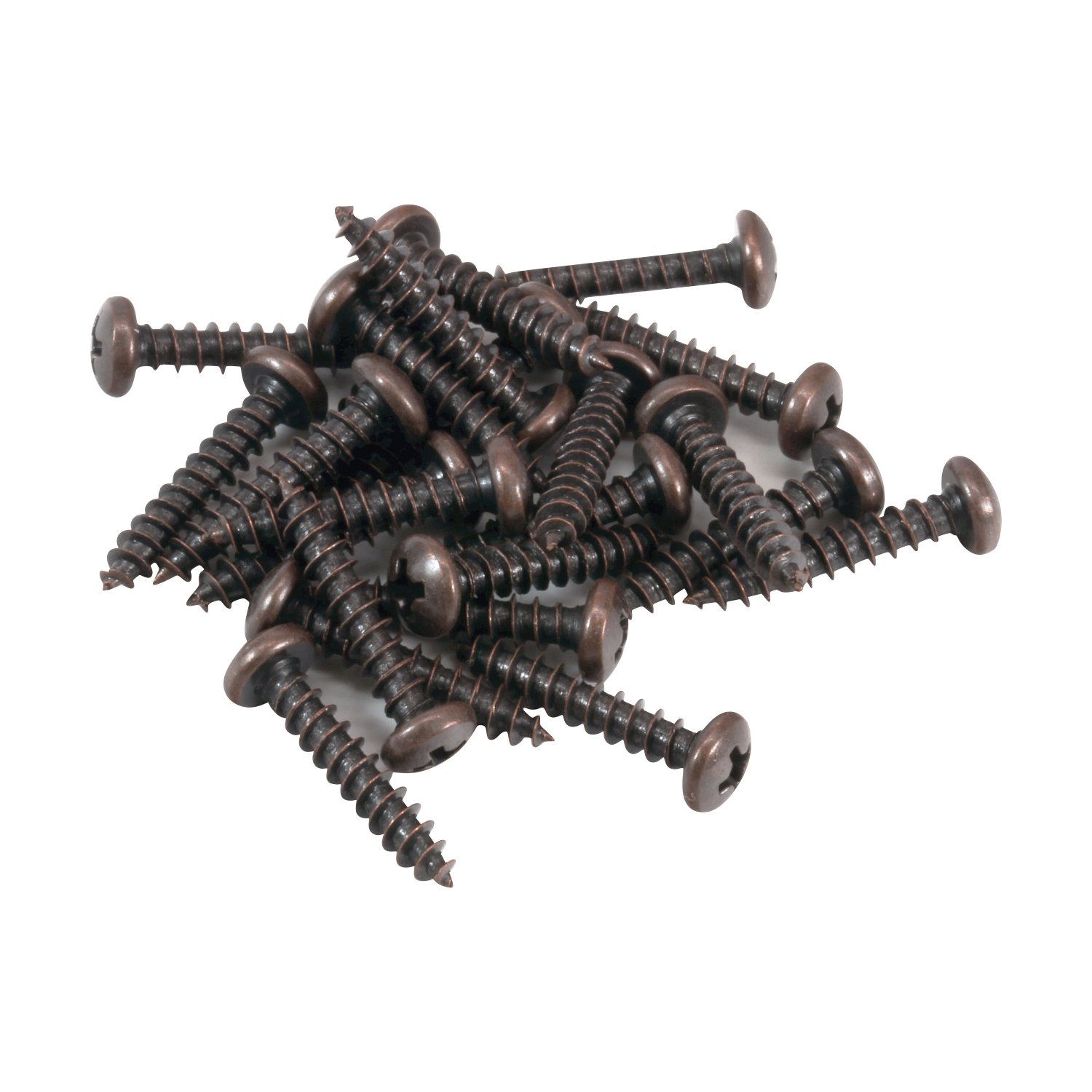Rok Hardware 1000 Pack #4 x 5/8" Deep Coarse Thread Phillips Pan Head Wood Screws Bronze Plated MDF