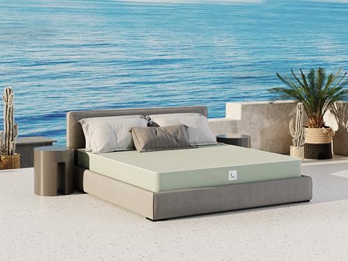 Mielmoon Waterproof Foam Mattress Vinyl Multipurpose Medium Firm Plush, Double Sided Made in USA,Mattress in a Box for Pain Relief (7 inch, Twin XL)