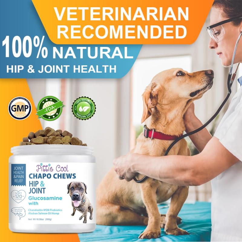 Pittie Cool Chapo Chews, 120 Glucosamine Hip & Joint Supplement for Dogs, Extra Strength, Chondroitin, MSM, Probiotics, Hemp & Salmon Oil. Treats Arthritis, Pain & Inflammation, Mobility, Gut Health