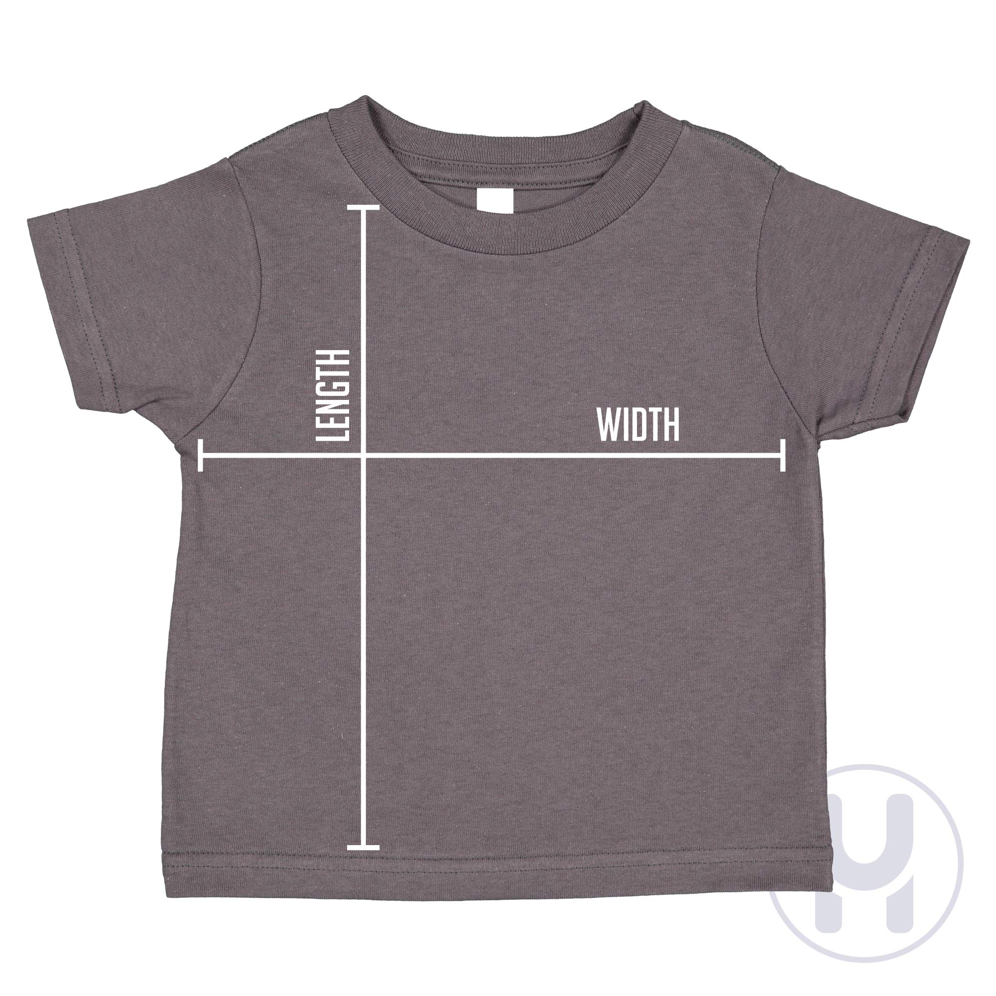 Haase Unlimited Baseball American Flag - USA Infant/Toddler Cotton Jersey T-Shirt (Navy, 24 Months)