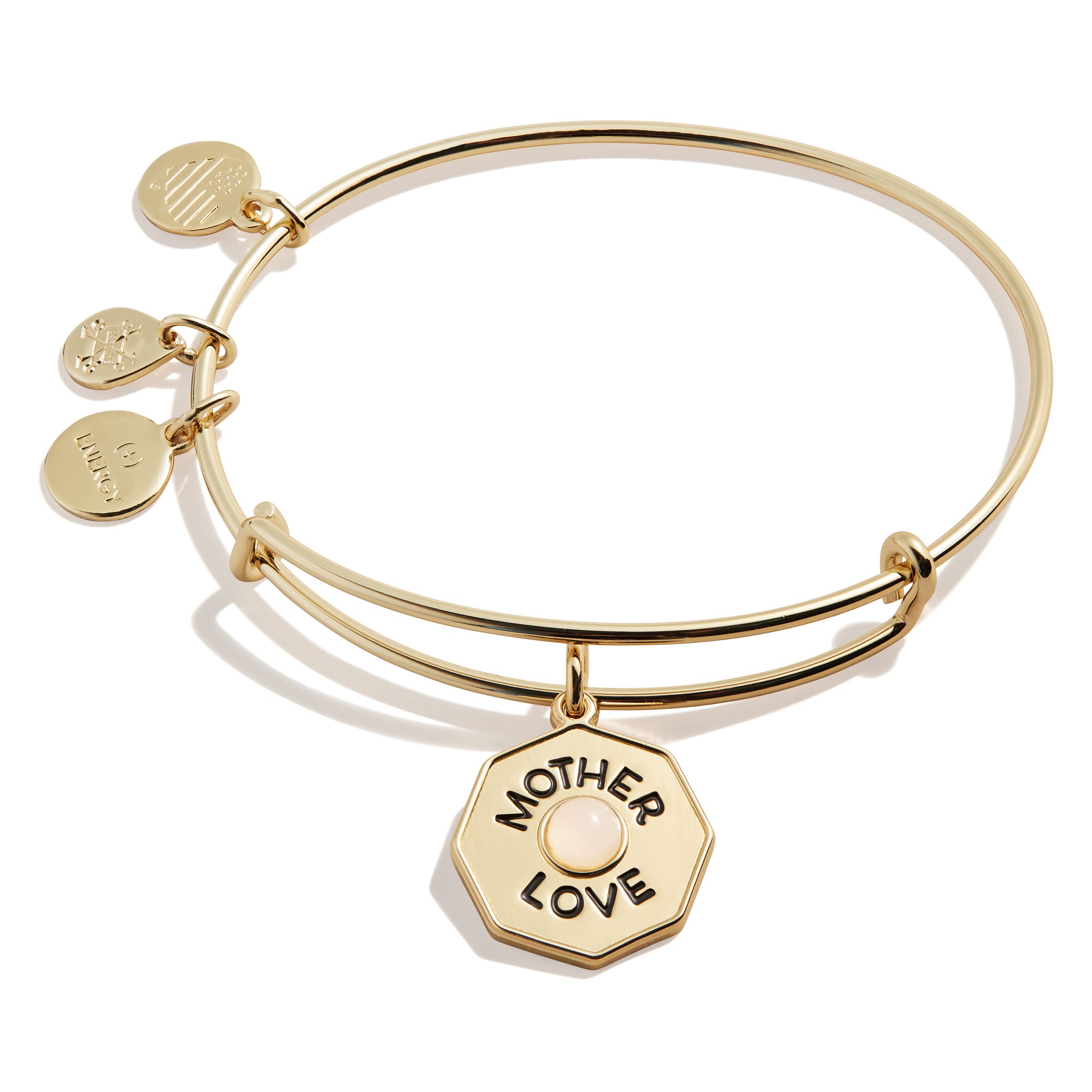 Alex and Ani Mother Love Charm Bangle Bracelet - Mother's Day - Shiny Gold Finish - 2 To 3.5 In