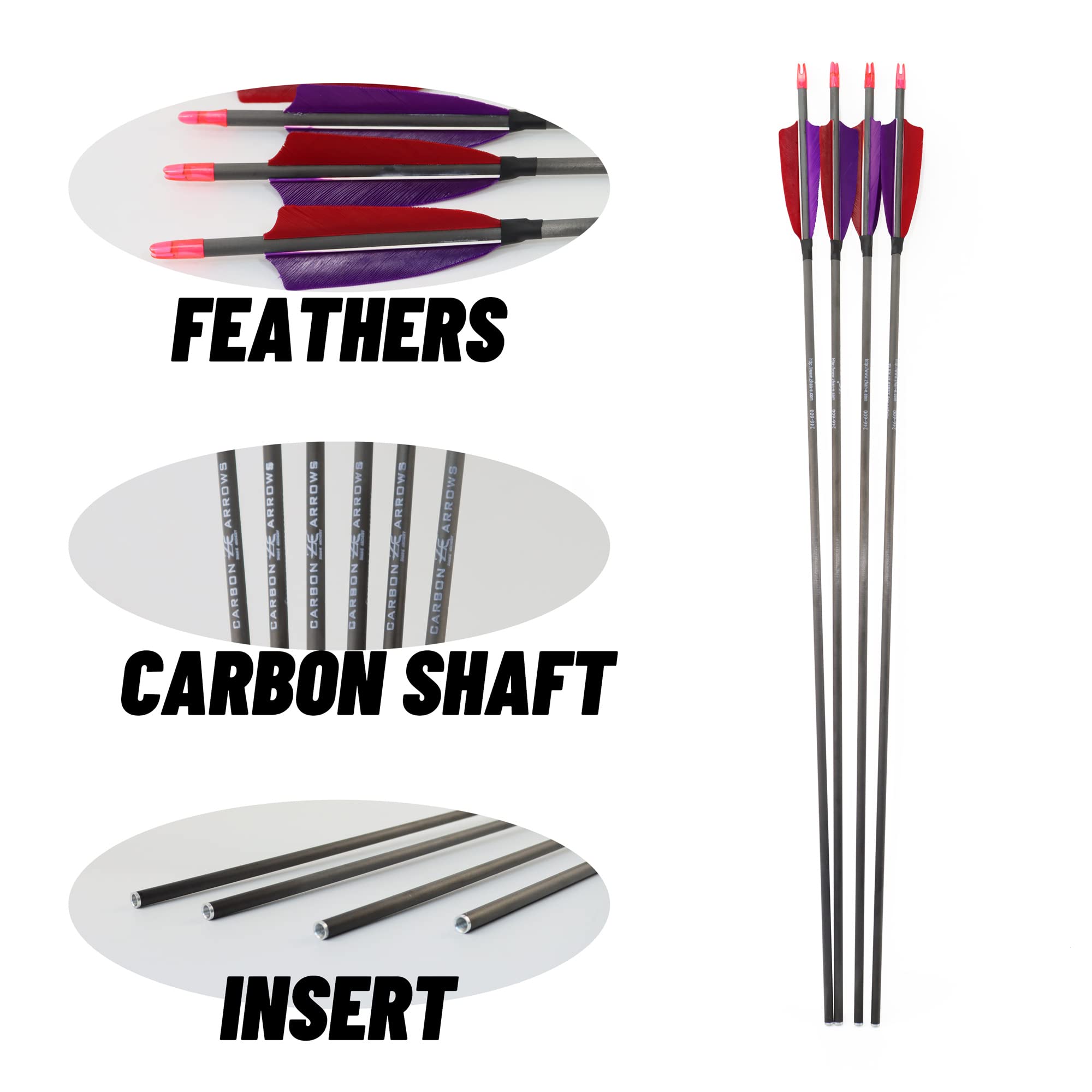 Archery Carbon Arrow 31 inch 600 Spine Pure Carbon with 100 Grain Screw Tips, Hunting Arrows for Compound & Recurve Bow 12PCS