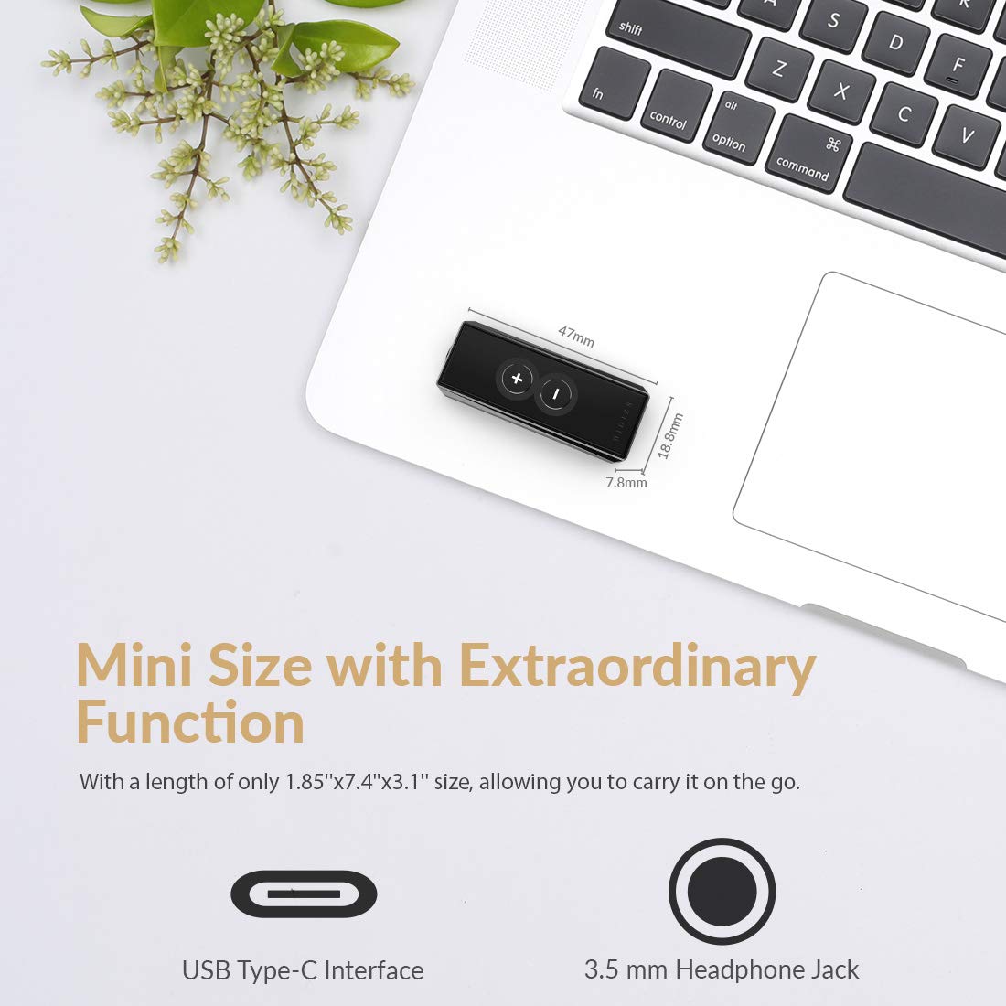 HIDIZS S8 USB DAC Amp, 384kHz / 32Bit USB C Portable HiFi Audio Decoding Amplifier for iPhone iPod Android Computer with Windows/Mac OS/iOS/iPad OS System (4 Interface Cable Included, Silver)