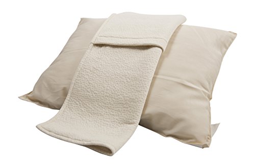 Mother Sheep Organics Organic Wool Toddler and Kids Pillow, Travel Pillow, 14x19