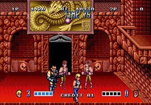Double Dragon (Sega Genesis) - Reproduction Video Game Cartridge