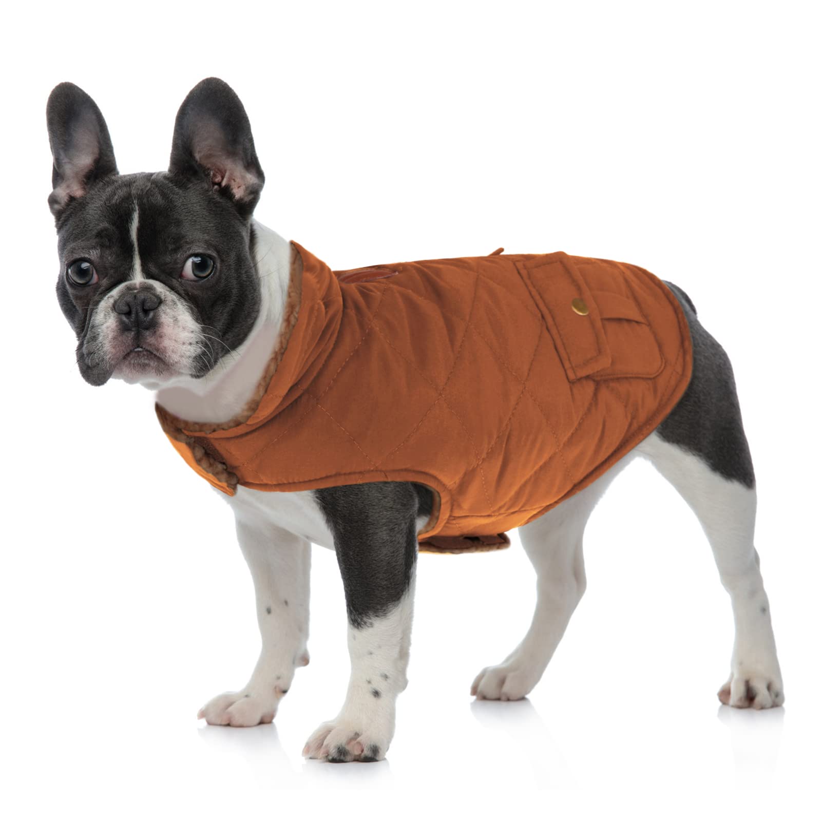 Queenmore Warm Dog Coat, Cold Weather Puffer Dog Coat, Quilting Winter Dog Jacket Ultra Thick Plush Lining with Storage Pockets (Brown, Small)