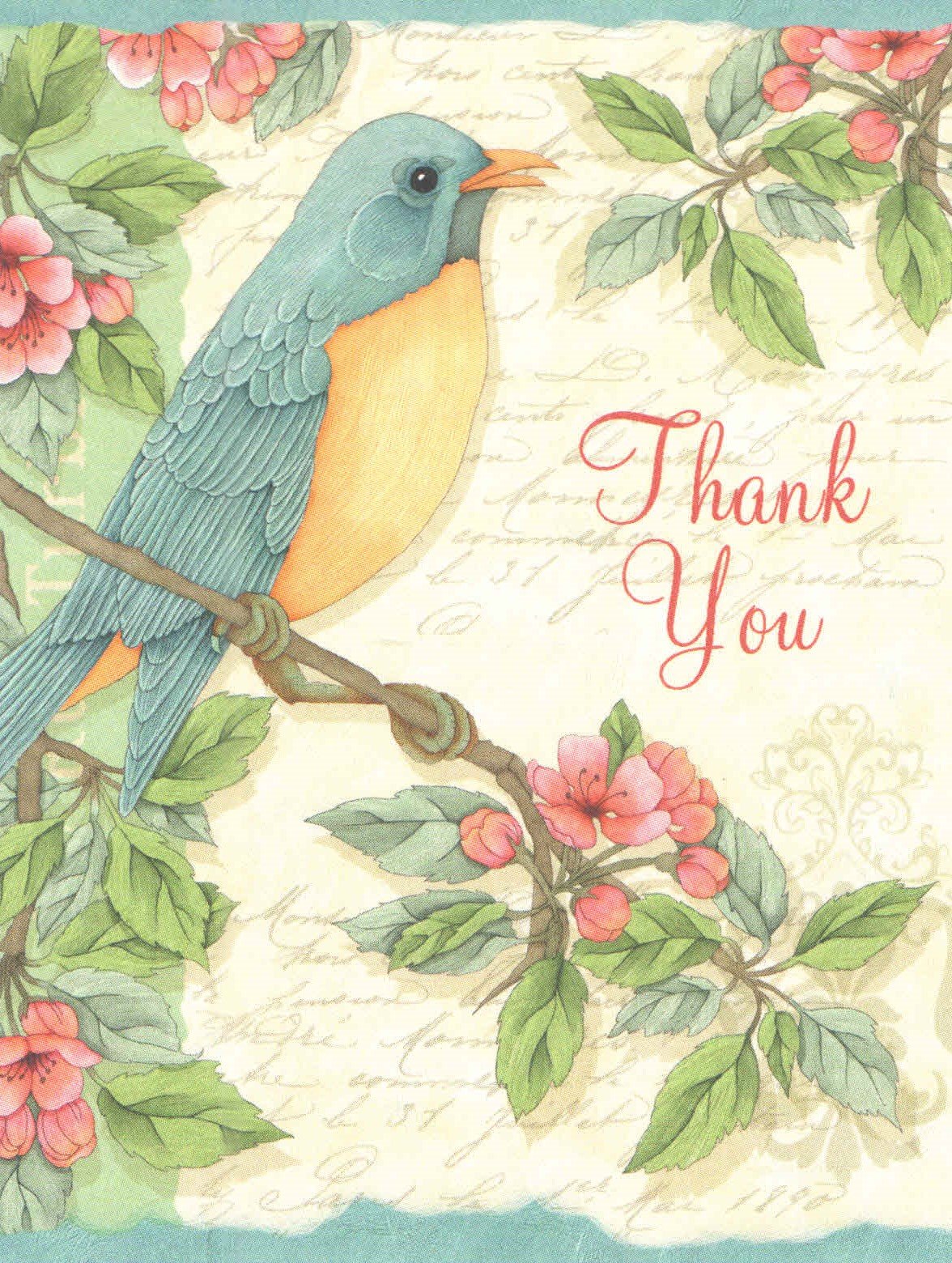 Joy Hall Winged Floral Thank You Cards (8 Cards; 4" x 5.25"; White Envelopes)