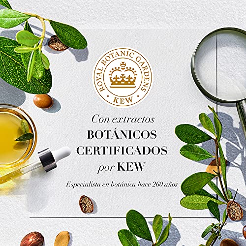 Herbal Essences bio:renew Arabica Coffee Fruit Volumizing Conditioner, 13.5 fl oz