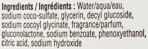 J.R. Watkins Foaming Hand Soap Pump with Dispenser, Moisturizing All Natural Hand Soap Foam, Alcohol-Free, Cruelty-Free, USA Made, Use as Kitchen or Bathroom Soap, Grapefruit, 9 fl oz, 6 Pack