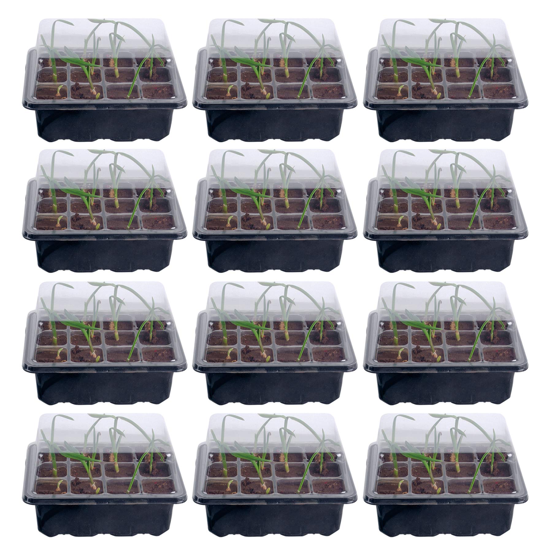 Easeen 12 Set Seedling Trays Seed Starter Kit- 144 Cells Plant Grow Kit, Garden Seed Propagator Premium Seedling Dome and Tray for Seeds Growing (12 Cells Per Tray)