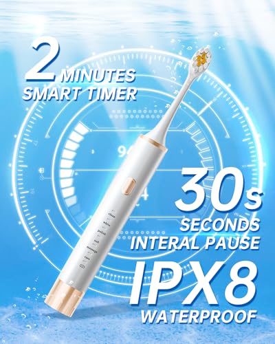 Aneebart Sonic Electric Toothbrush 2 Pack,Electric Toothbrush for Adults,Travel Electric Toothbrush Includes 12 Brush Heads,IPx8 Waterproof (Black & White )