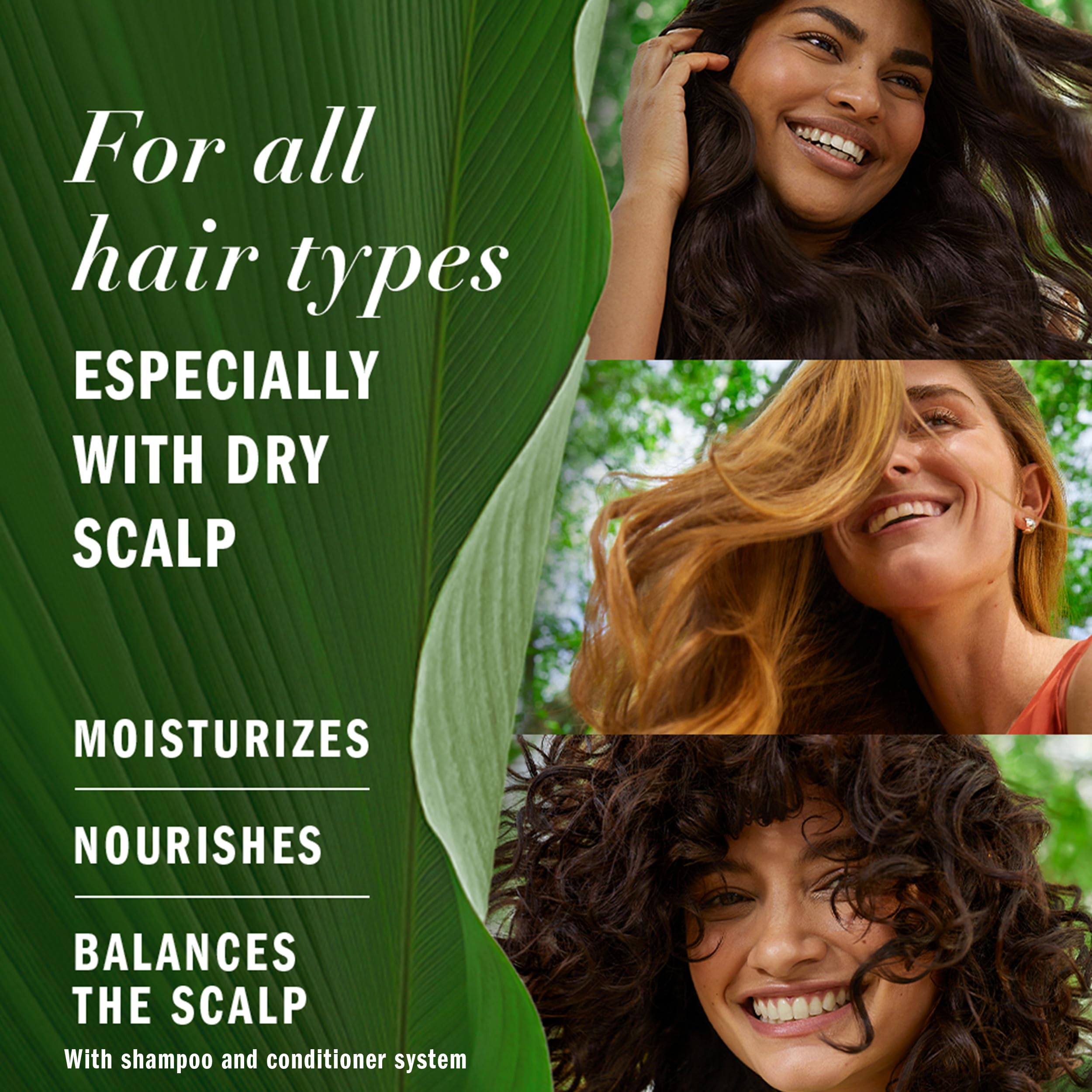 Herbal Essences Bio: Renew Potent Aloe + Eucalyptus Conditioner Scalp Balance, 13.5 Fl Oz, 5.523 Fl Oz