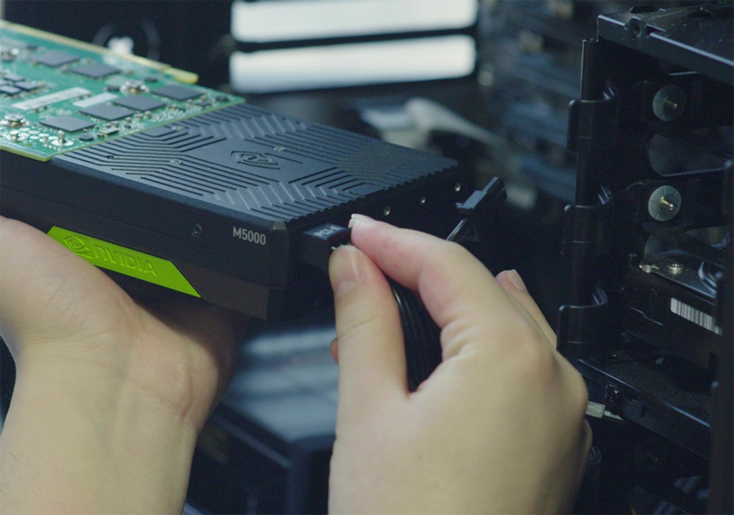 NVIDIA Quadro M5000 graphics card - Quadro M5000 - 8 GB - By NETCNA