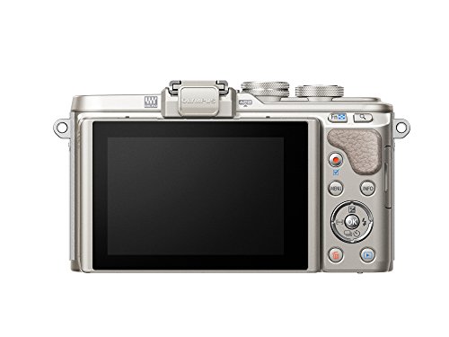OLYMPUS Pen E-PL 8 EZ Double Zoom Kit [White][International Version, No Warranty]