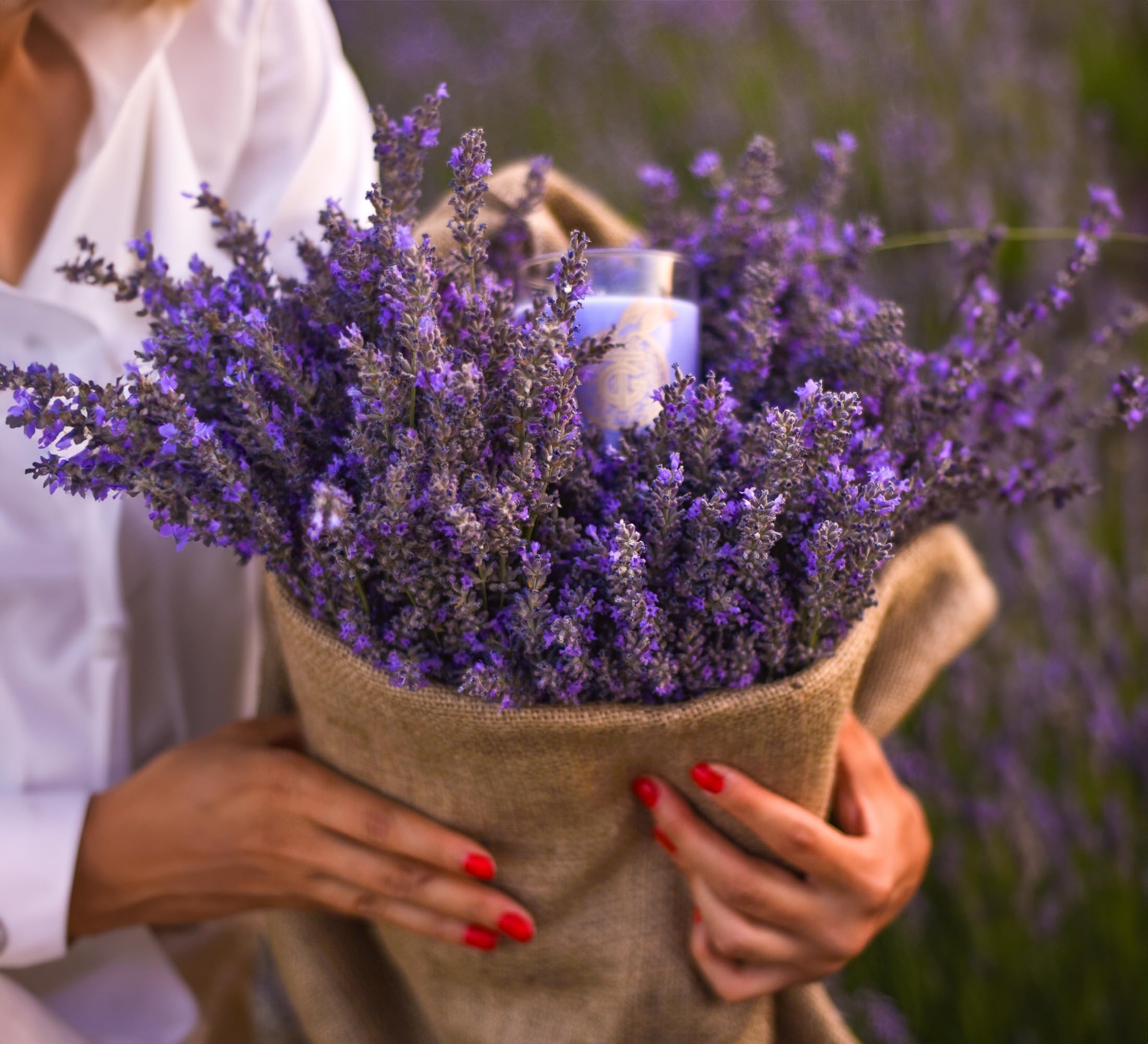 Organic Wild Lavender Candles | Scented Candles for Home | 6 oz 43 Hour Burn, Lavender Candle in Glass Jar