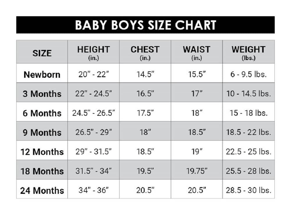 Levi's Baby Boys Hoodie, Pebble Grey, 12M