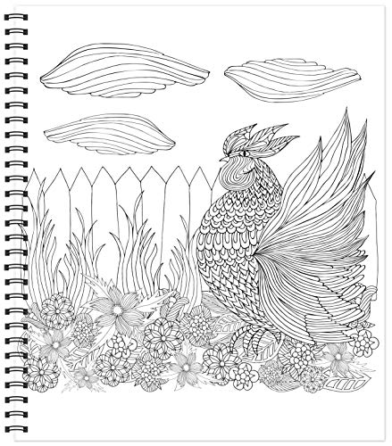 Color & Frame - Country Gardens (Adult Coloring Book)